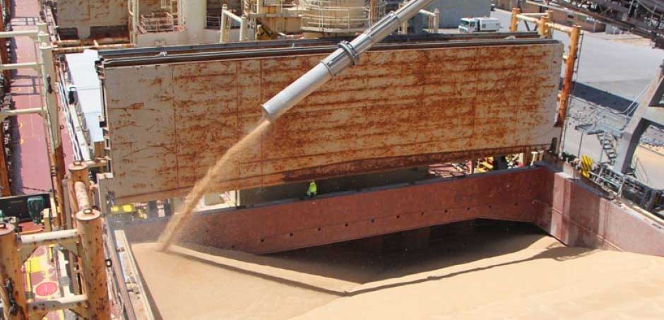 Can a ship load bulk grain without Documents of Authorization as per ...