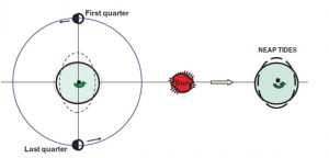 What is meaning of Neap Tide? - MarineGyaan
