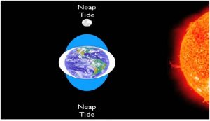 What is meaning of Neap Tide? - MarineGyaan