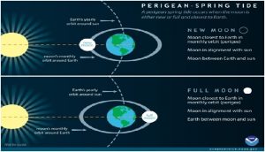 What is meaning Spring Tide ? - MarineGyaan