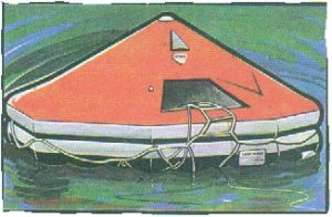 What is Liferaft and its lowering procedure in detail? - MarineGyaan